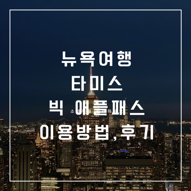 뉴욕여행 뉴욕여행 한 번에 쉽게 준비하기 타미스 빅 애플패스 이용 방법 여행 후기 네이버 블로그