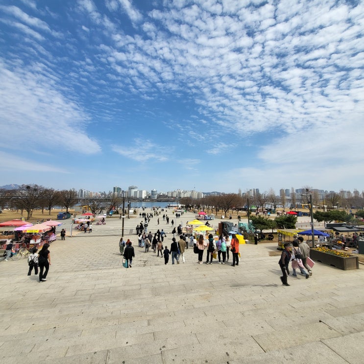 여의도 한강공원 백배 즐기기여의도 한강공원 주차 매점 배달존 그늘막허용구역 자전거대여소 봄꽃축제 네이버 블로그