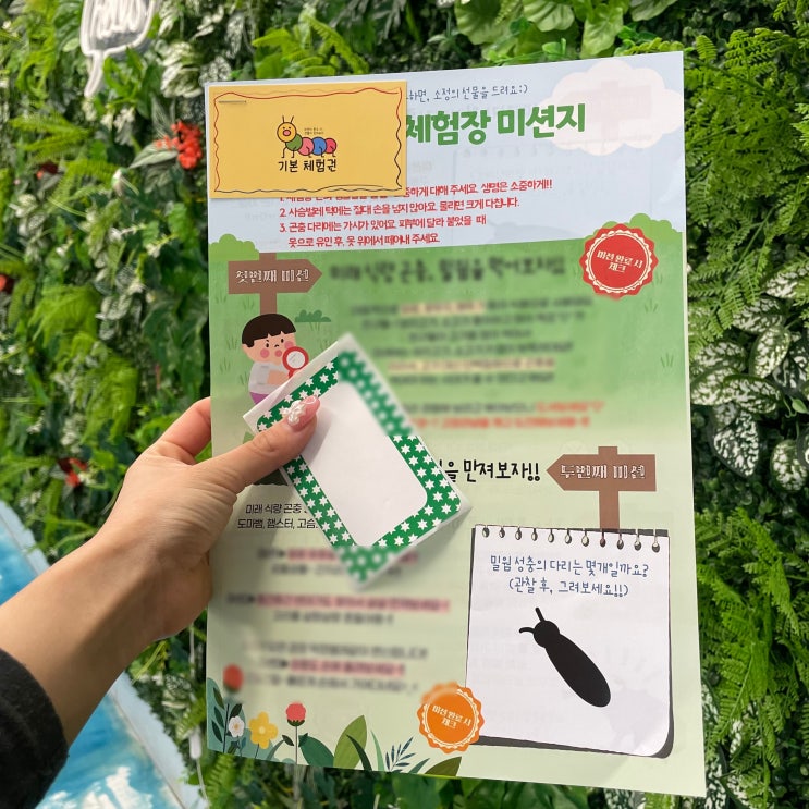 충남 아이들과 가볼 만한 곳황굼 곤충 체험농장 이용방법 네이버 블로그