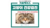 건강검진 중 발견된 고양이 복막염fip 진단과 치료 방법 네이버 블로그