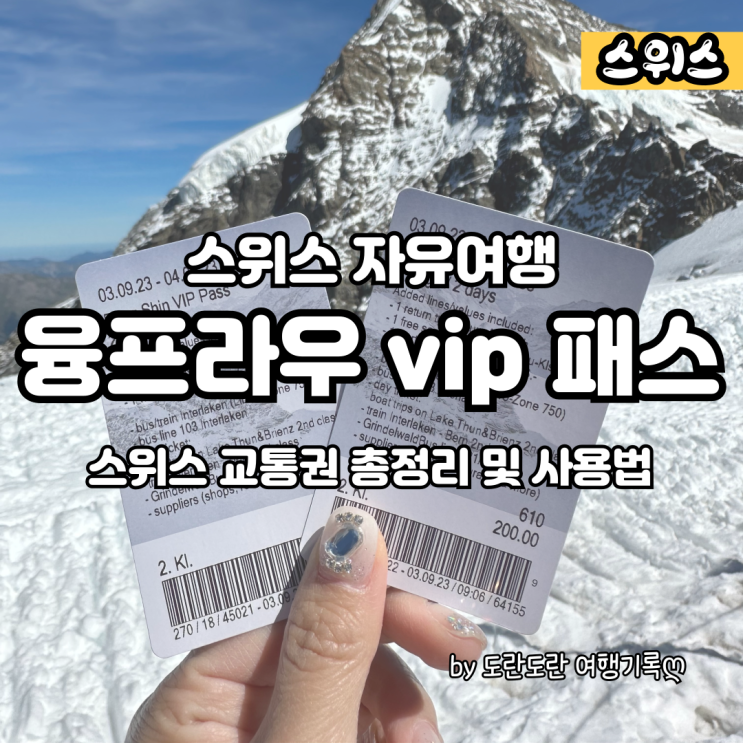 융프라우 Vip 패스 스위스 패스 세이버 데이패스 스위스 교통권 비교 및 할인 혜택 사용법 네이버 블로그