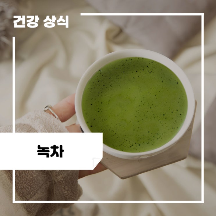 녹차 효능 5가지 카테킨 다이어트 부작용 카페인 함량 녹차 추출물 가루 라떼 티백 네이버 블로그