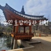 용인 호암미술관 희원 실시간 개화상황 3월 벚꽃명소 네이버 블로그
