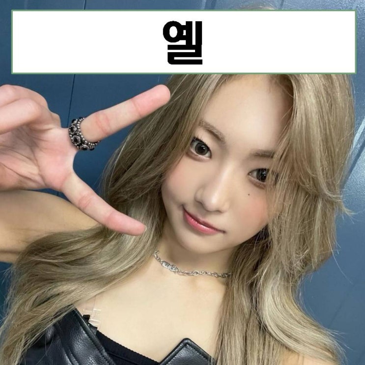 하이키 옐 나이 본명 시구 움짤 키 MBTI JYP 소속사 프로필 : 네이버 블로그