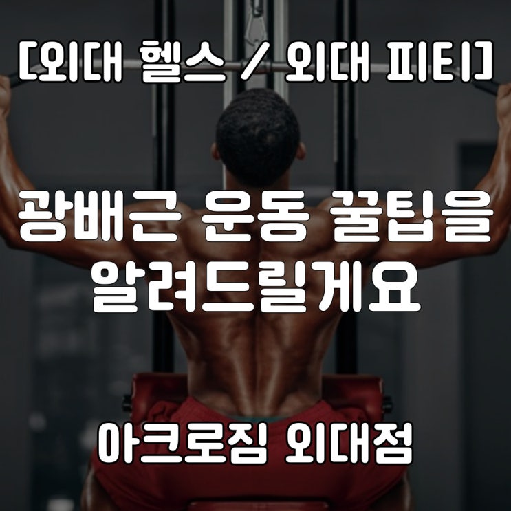 외대역 헬스 외대역pt 외대앞 헬스장 아크로짐 외대점에서 광배근 운동 꿀팁을 알려드릴게요~ 네이버 블로그