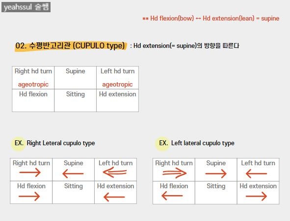 이석증검사 이석증치료 측반고리관이석증 이석증안진수기 이석증안진 안진보는방법 LSCC-BPPV cupulo type (전문가용 ...