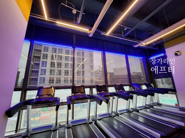 회기 헬스장 경희대 헬스장 스포벡 경희대점 전체 창가 업그레이드 완료 분위기 맛집 등극 네이버 블로그