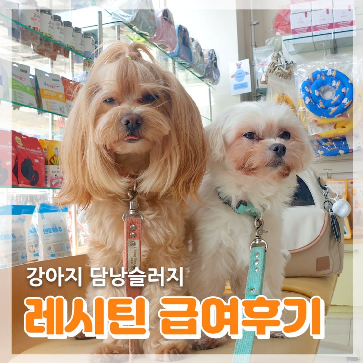 강아지 담낭슬러지치료 해바라기레시틴 한달 급여 후기 : 네이버 블로그