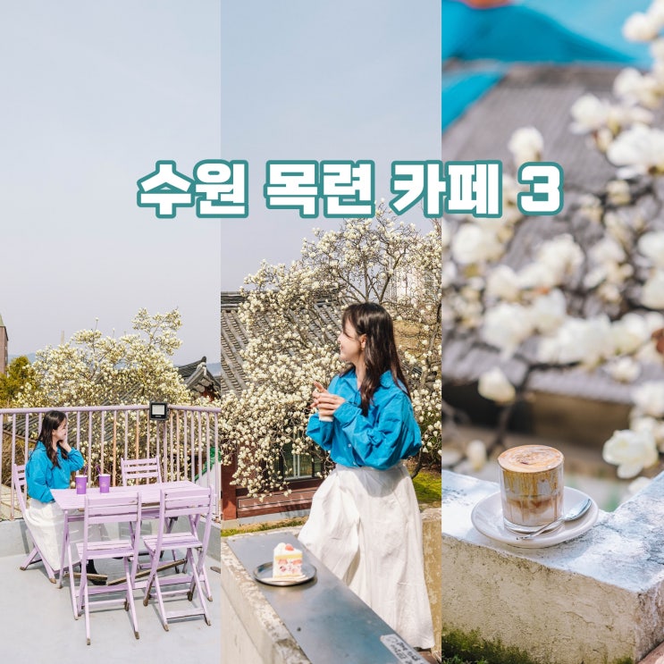 수원 목련카페 모음 3 노스모크위드아웃파이어 교동점 정지영커피로스터즈 장안점 카페 그리트 네이버 블로그