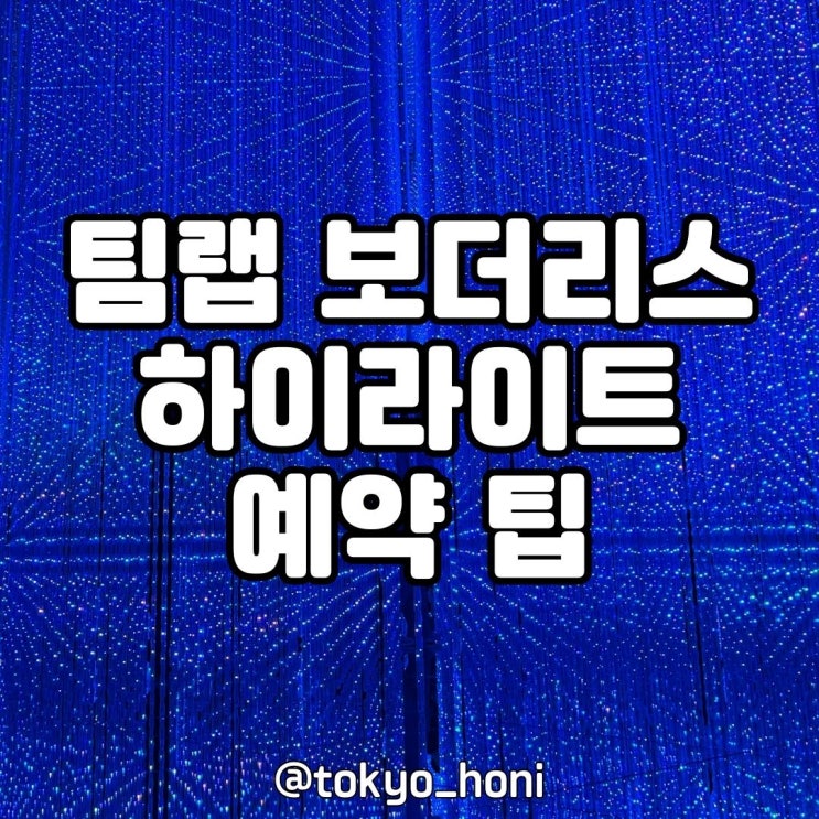 도쿄 팀랩 보더리스 하이라이트 예약 팁 네이버 블로그