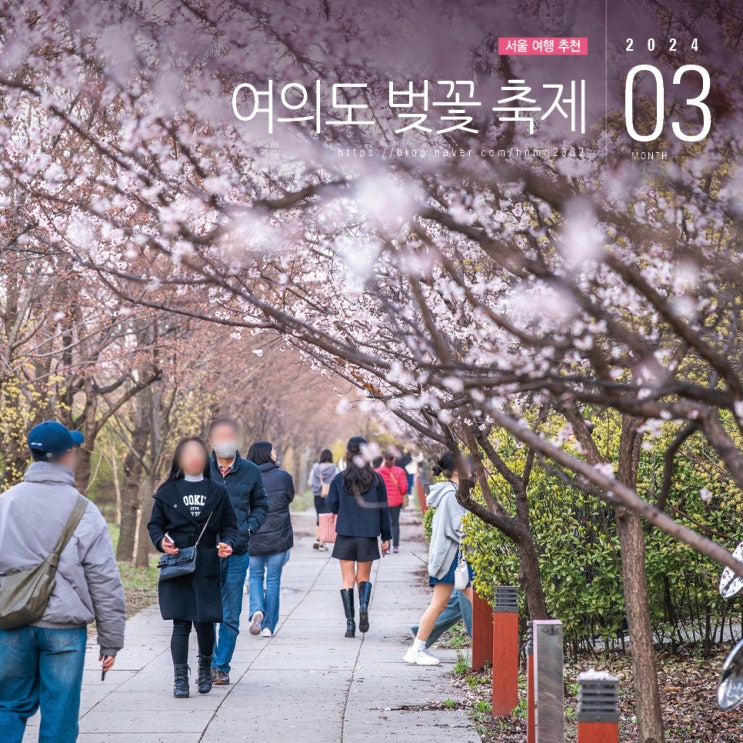 2024 여의도 벚꽃 축제 윤중로 벚꽃 개화시기 서울 여행 코스 네이버 블로그