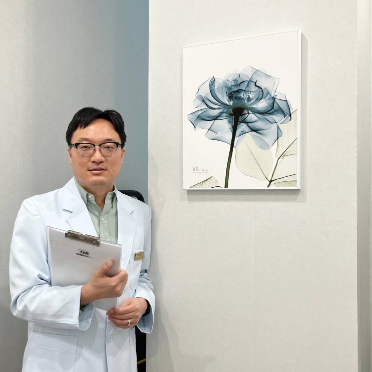 플러스피부과의 봄맞이 새단장 10초 스캔진단법과 이너뷰티를 상징할 수 있는 꽃그림으로 생기를 불어넣다 청주 피부과 전문의