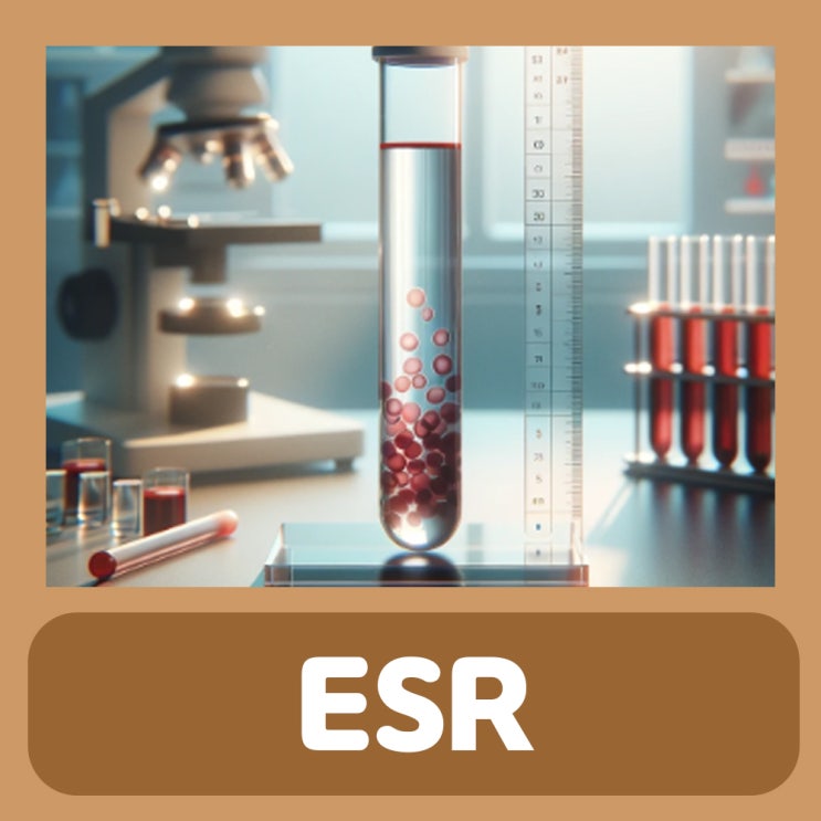 ESR 정상수치 적혈구침강속도 수치 : 네이버 블로그