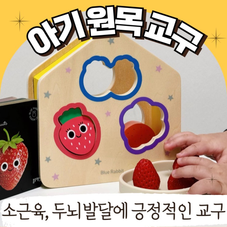 소근육 좌뇌 우뇌 균형있는 발달에 좋은 원목 교구 블루래빗 두뇌발달 첫 놀잇감으로 시작해요 네이버 블로그