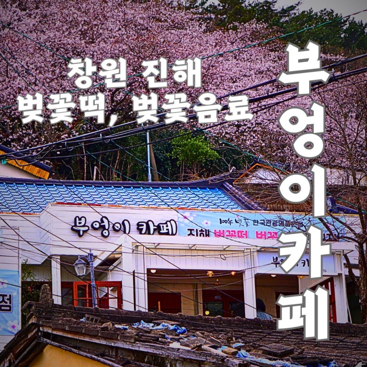 진해군항제 맛집 부엉이카페 벚꽃커피 벚꽃떡 중앙시장 주차장 모노레일 네이버 블로그