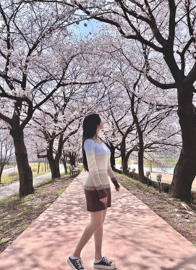순천 동천 벚꽃명소 추천 오천그린광장 벚꽃터널 꿀팁 광주근교 여행 네이버 블로그