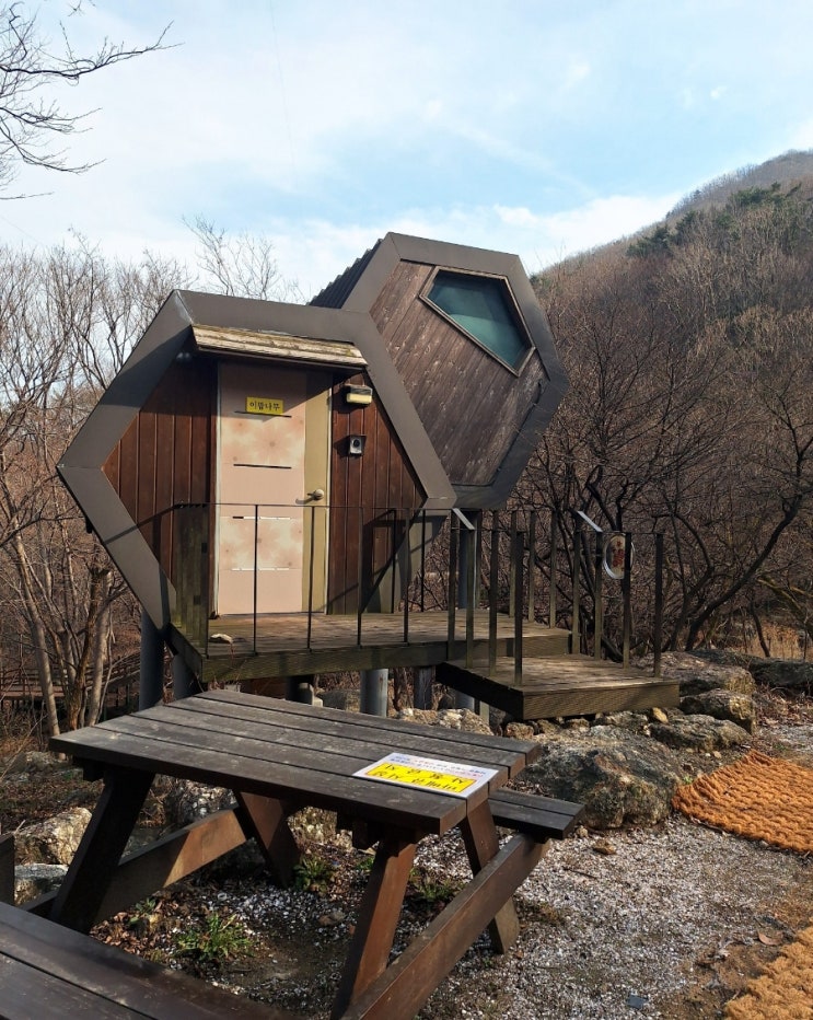 하동 가볼만한 곳 구재봉자연휴양림 트리하우스 이팝나무 모노레일 체험 후기 네이버 블로그