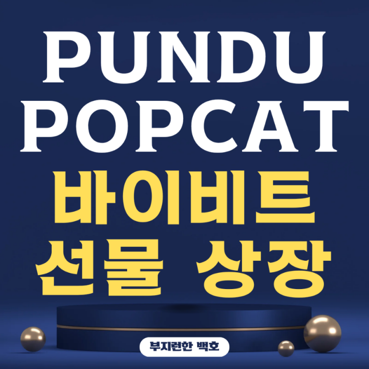푼두 팝캣 PUNDU POPCAT 코인 바이비트 상장 : 네이버 블로그