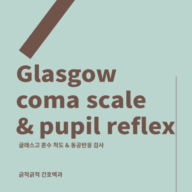글래스고 혼수 척도 및 동공반사(Glasgow coma scale, GCS&Pupil reflex) : 네이버 블로그