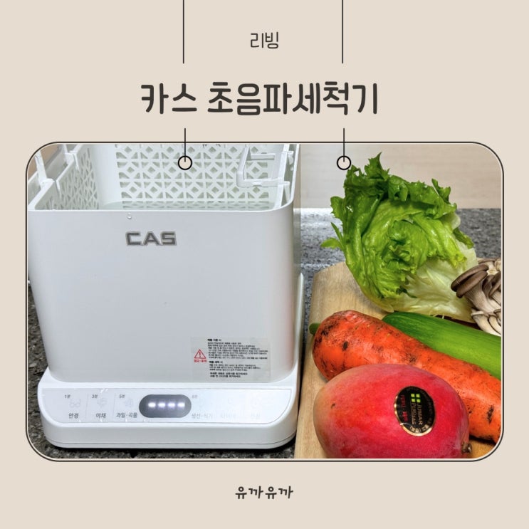 야채 과일세척기 카스 초음파세척기 사용 후기 네이버 블로그
