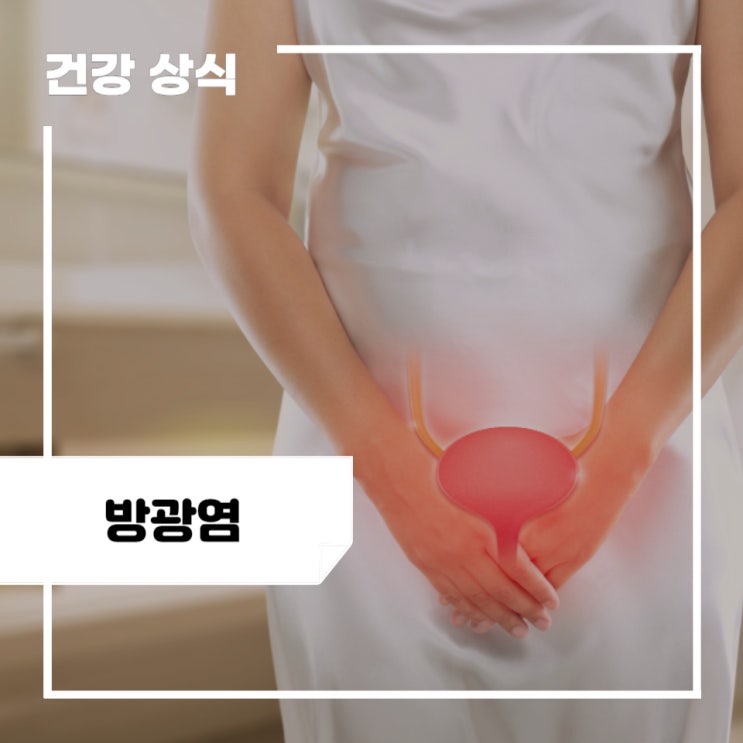 여자 방광염 초기 증상 및 원인 검사 방법 치료 자연 치료 완화 약국 약 여성 혈뇨피 급성 만성 네이버 블로그