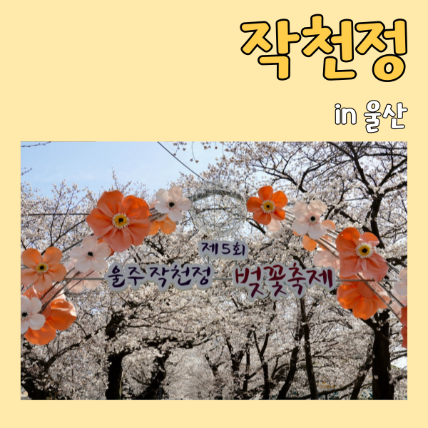 울산 작천정 벚꽃축제 수남벚꽃길 언양 벚꽃 개화 실시간 네이버 블로그