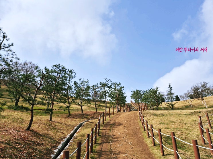 계양산 초보 등산코스 산책길 가고 싶을 때 네이버 블로그