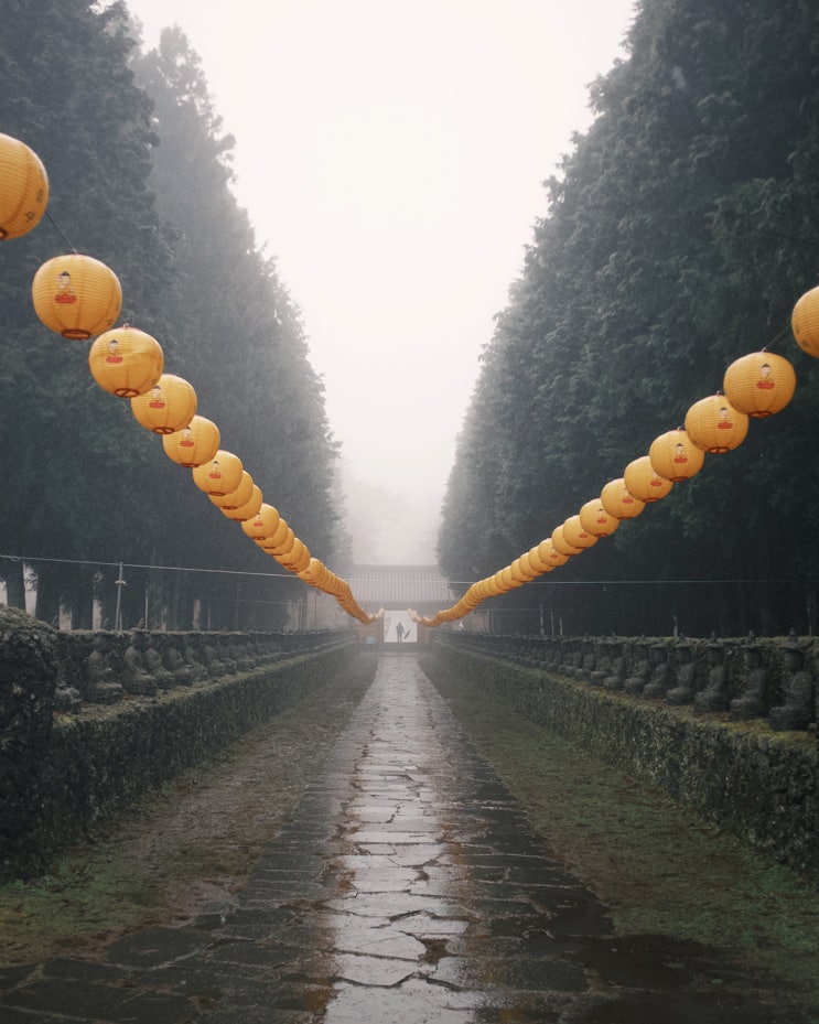 제주 관음사, 비오는 날에는 여길 꼭 가세요 (feat. dazz cam FXN R) : 네이버 블로그