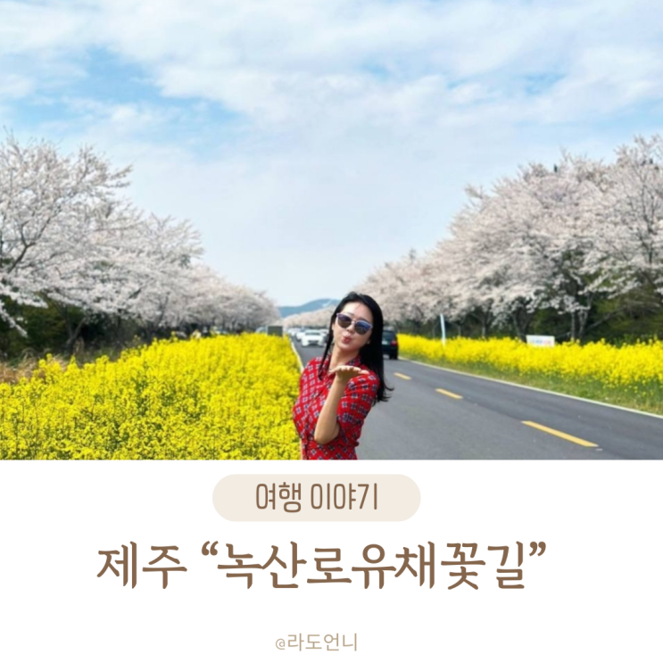 제주 녹산로 유채꽃도로와 벚꽃을 볼수있는곳 주차꿀팁 인스타사진 네이버 블로그