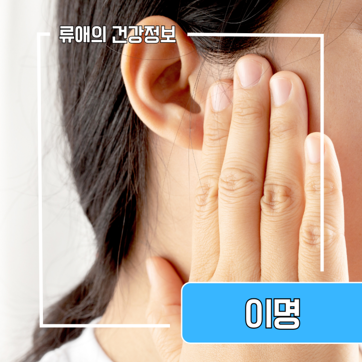귓속 이명 증상 및 원인 이명에좋은음식 갑자기 귀에서삐소리 계속 난다면 네이버 블로그