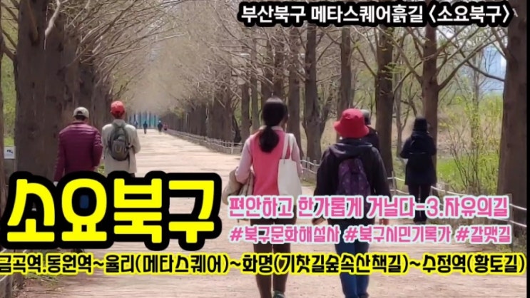 부산북구 소요북구 북구의길을걷다 금곡역 동원 억새부터 율리 메타스퀘어 흙길 낙동강희망의숲 화명 기찻길숲속길 수정역 황토길 화명