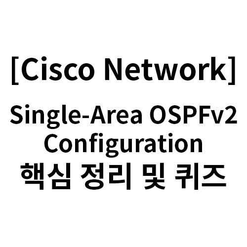 [CCNA] Enterprise Networking, Security, and Automation Modules2: Single ...