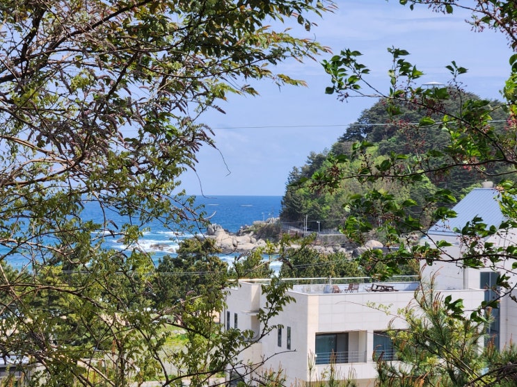 죽도해변 조망 넉넉한 토지구옥 매매 양양바다조망토지 양양해변조망토지 양양죽도해변토지 양양인구해변토지 양양남애해변