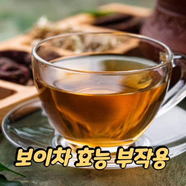 보이차 효능 효과 부작용 마시는법 알아봐요 네이버 블로그