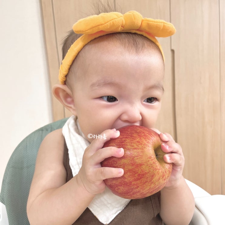 아기 사과 퓨레 사과즙 먹는 시기 언제부터 어떻게 얼마나 네이버 블로그