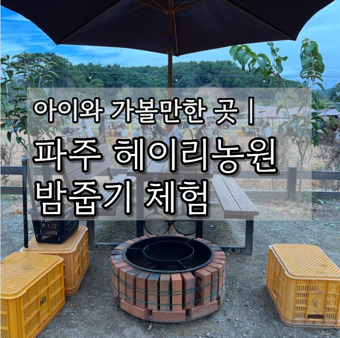 아이와 가볼 만한 곳 파주 헤이리농원 팜크닉 밤 줍기 체험 준비물 네이버 블로그