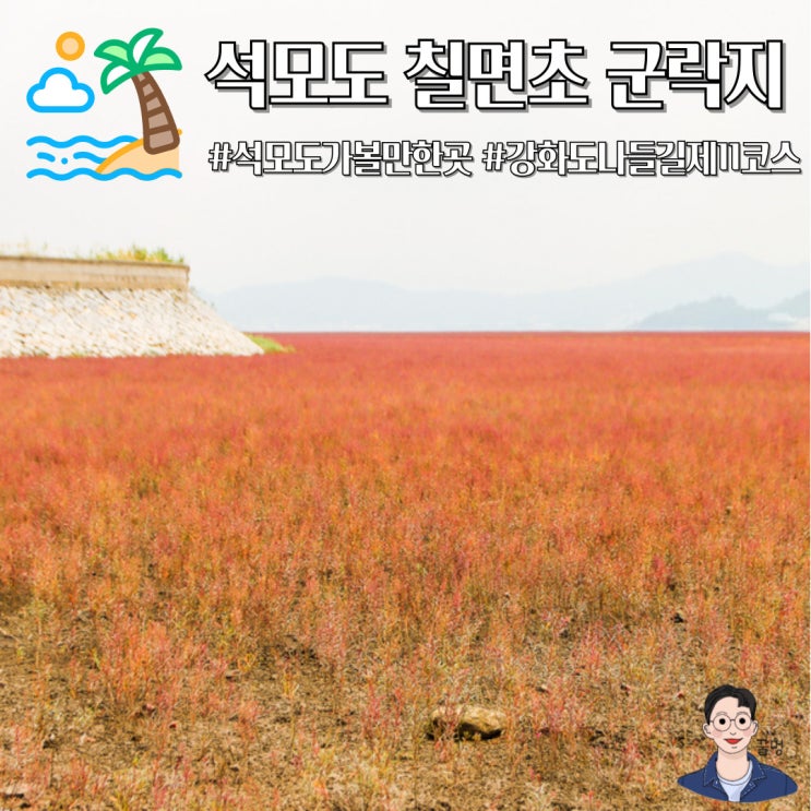 강화도 나들길 제11코스 석모도 바람길 칠면초 군락지 볼거리 주차장 정보 네이버 블로그