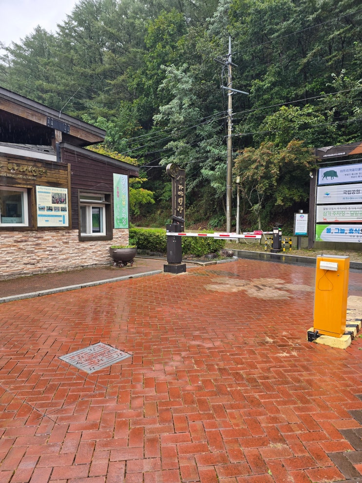 영주 삼가 풀옵션야영장 : 네이버 블로그