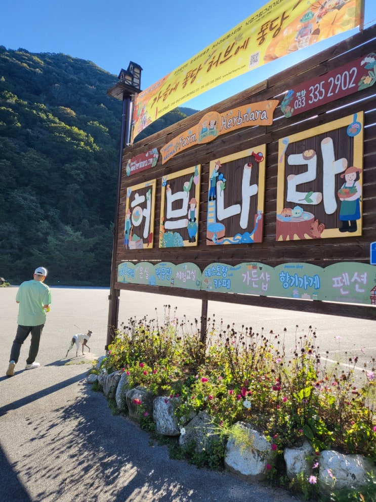 강원도 애견동반여행 산책하고 구경하기 좋은 평창 허브나라농원 : 네이버 블로그