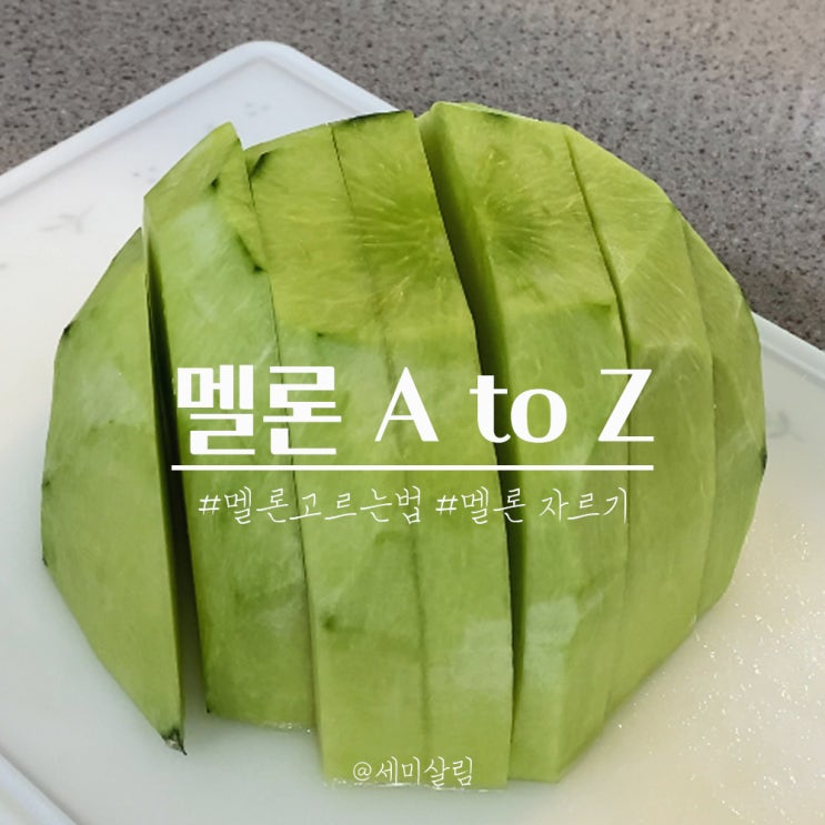 멜론 자르기 맛있는 멜론 고르는법 살림꿀팁 공유 네이버 블로그