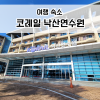 양양 코레일 낙산연수원 양양 속초숙소 마운틴뷰 디럭스룸 후기 네이버 블로그