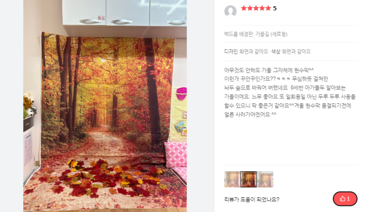 미소쌤 가을백드롭 가을길 가을낙엽으로 놀이해요 가을배경판 활용방법 네이버 블로그