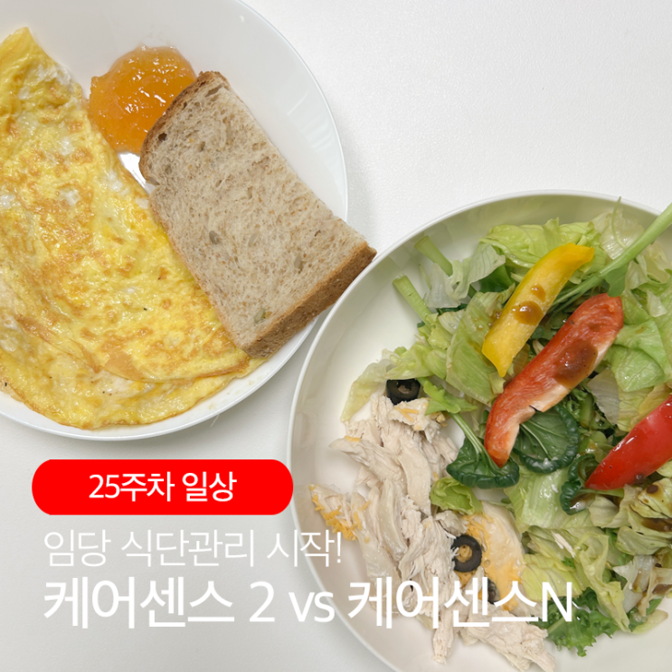 임신 25주차 임당산모 식단일기케어센스2플러스 케어센스n 수치비교 네이버 블로그