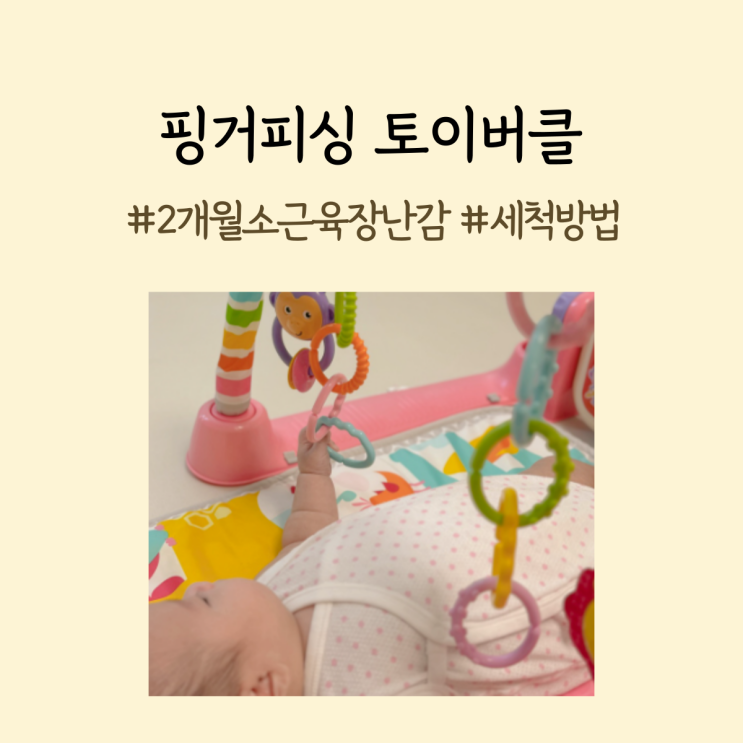 2개월 아기 소근육 장난감 핑거피싱 토이버클 세척도 간편 네이버 블로그