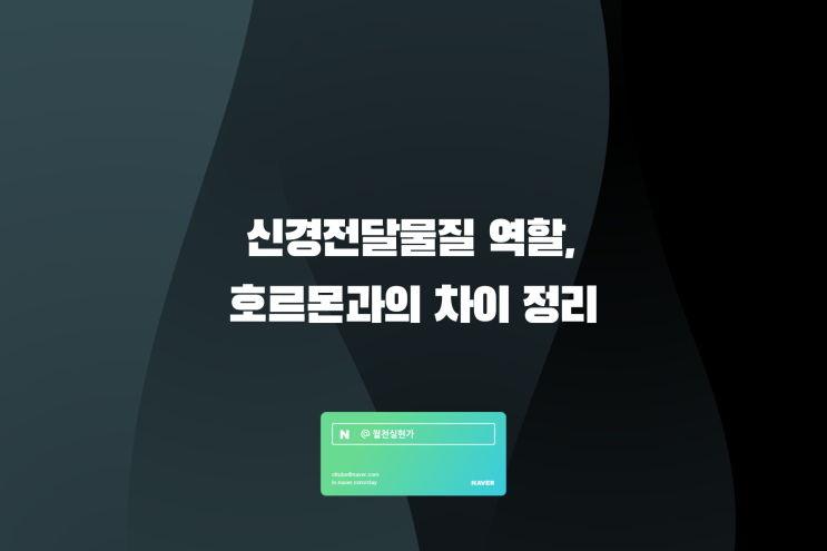 신경전달물질 역할 호르몬과의 차이 정리 네이버 블로그