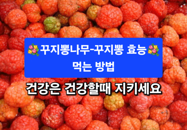 💐꾸지뽕나무 꾸지뽕 효능과 먹는 방법💐 네이버 블로그