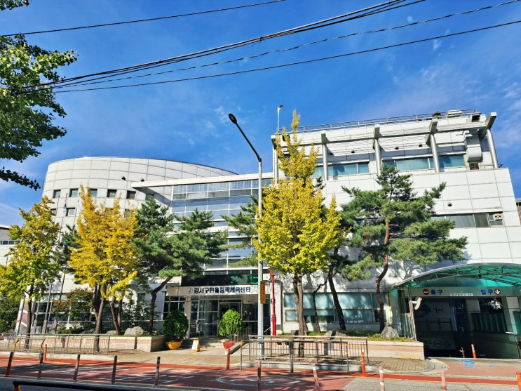 강서구민올림픽체육센터 수영장 평일 토요일 일일 자유수영 네이버 블로그