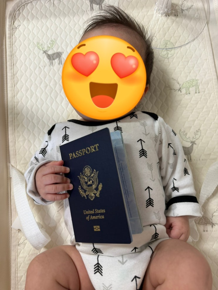 [출생신고] ECRBA 접수 및 주한미국대사관 방문 후기 : 네이버 블로그