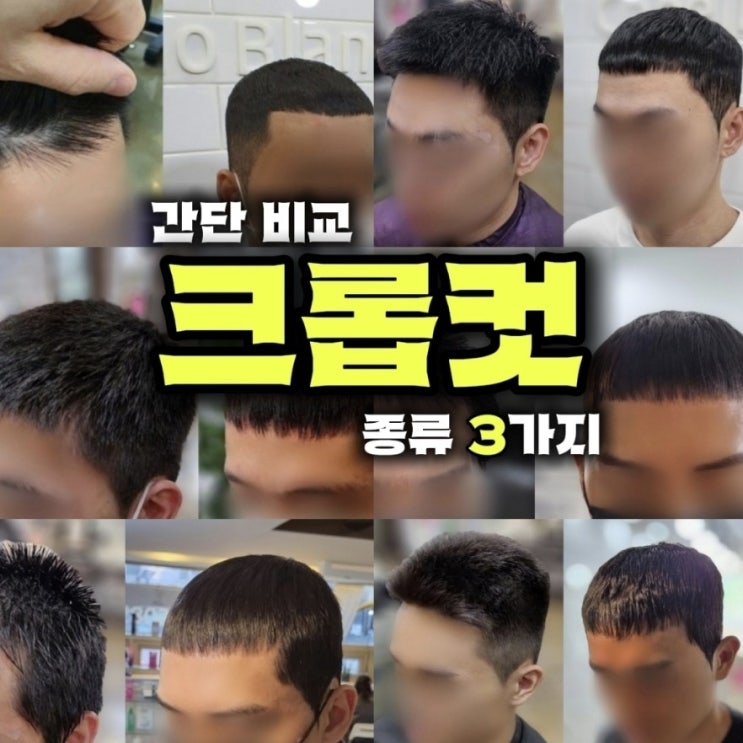남자 크롭컷 3종류에 대하여 스왓컷박새로이컷크롭 커트 네이버 블로그