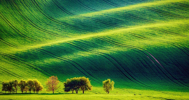 [가 보고 싶은 곳] 체코 모라바 Moravia, Czech Republic - feat. Microsoft Bing : 네이버 블로그